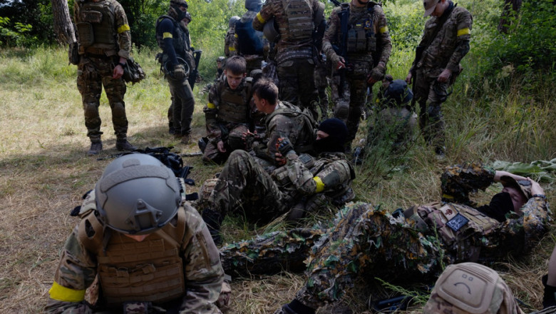 Oana Ţoiu: E momentul să evoluăm de la sprijinul pentru supraviețuirea ...